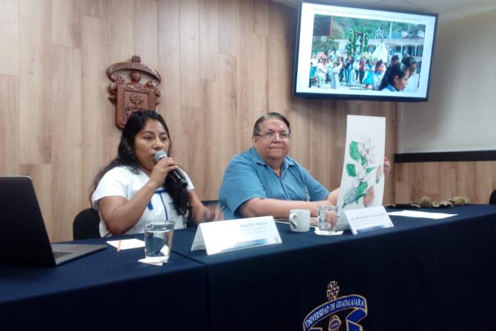 Estudiante y maestro del CUCBA descubren nueva especie de magnolia, en ...