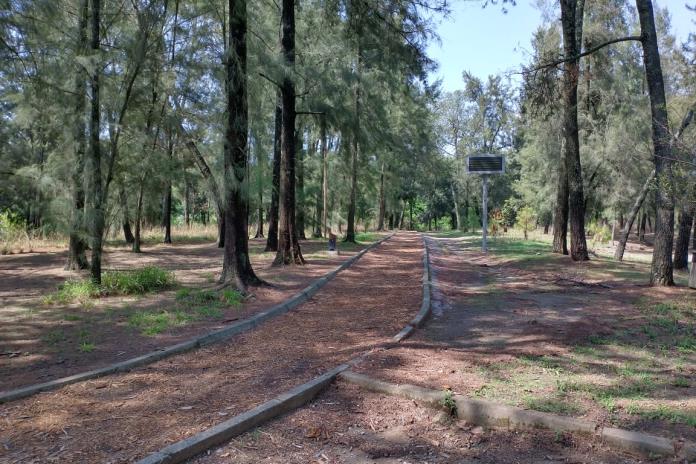 Incumplen medidas sanitarias en reapertura del parque Colomos