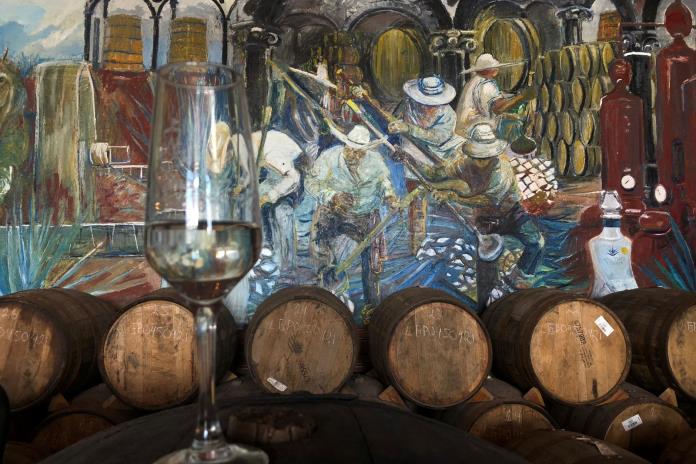 “El Castillo Tequila” realiza cata para festejar el Día Nacional del ...