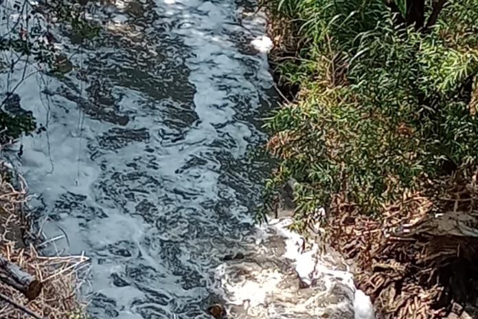 Piden ediles de Futuro a Zapopan que se vigilen las descargas ...